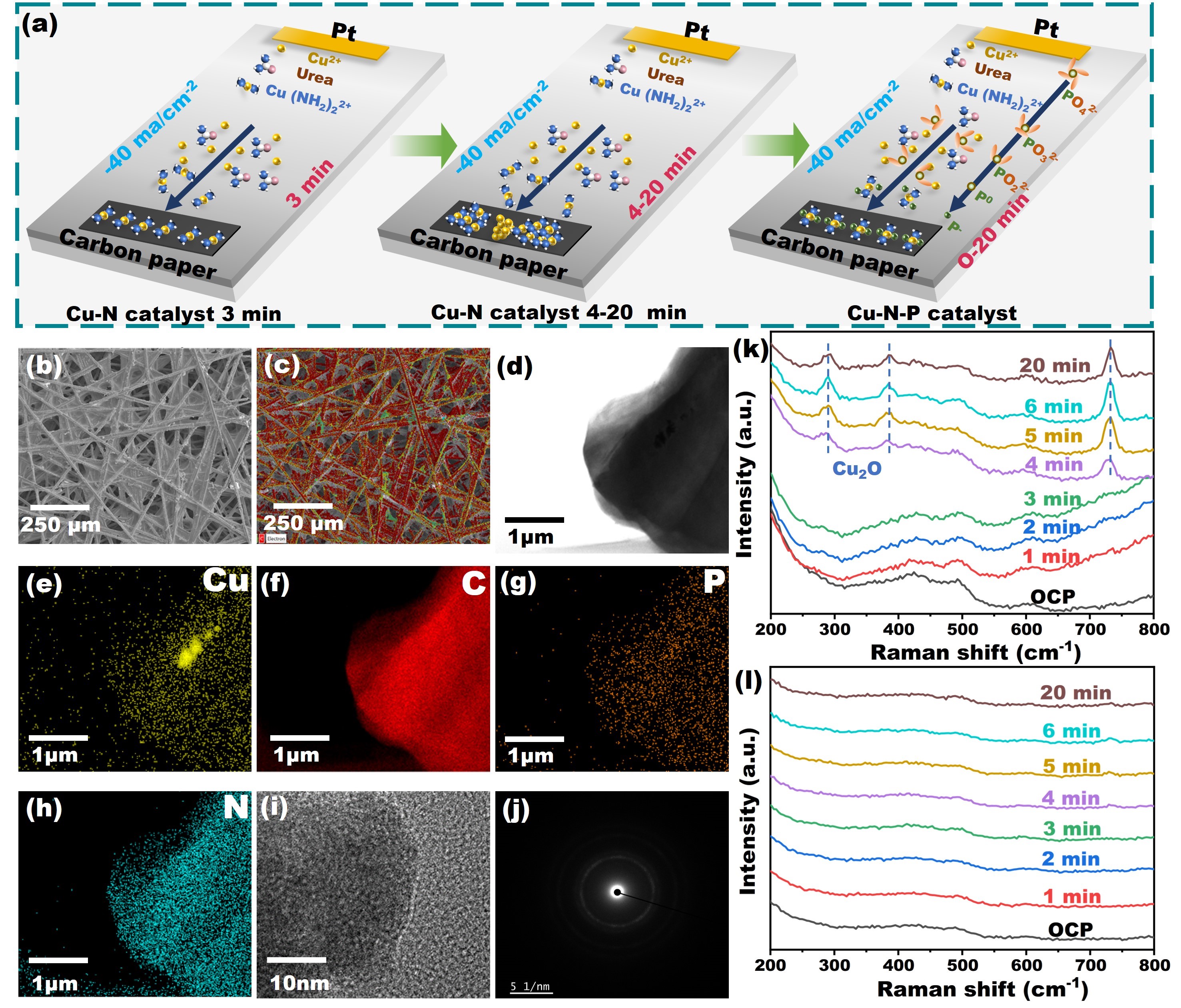 宁平、瞿广飞教授团队在单原子催化应用于CO2资源化领域取得重要进展-环境科学与工程学院